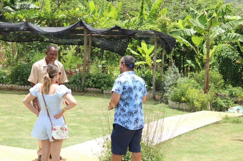 Taste of Jamaica Farm & Food Tour - Authenticity and Value