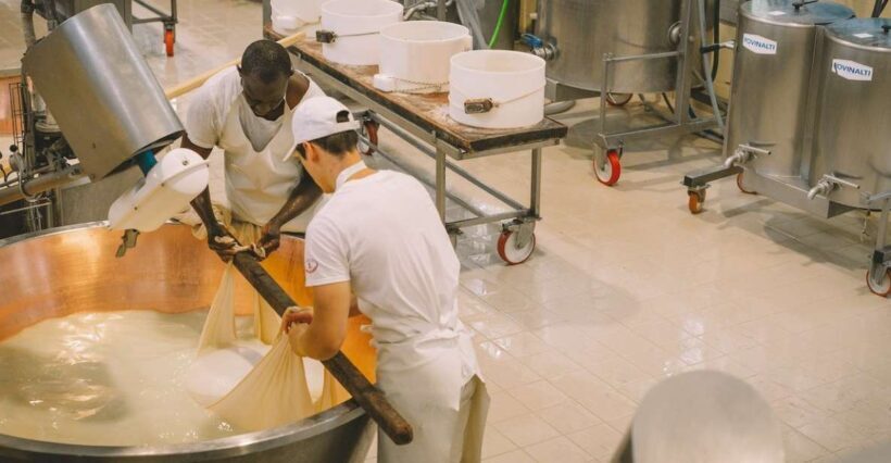 Taste of Modena: Prosciutto, Parmesan, Balsamic & Ferrari - An In-Depth Look at the Tour