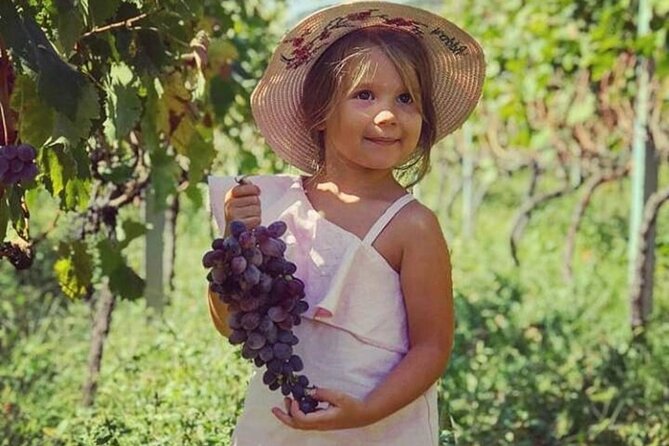 TASTE of MONTENEGRO - Gastro Tour of Montenegrian Wine and Food - What to Expect on the Taste of Montenegro Tour