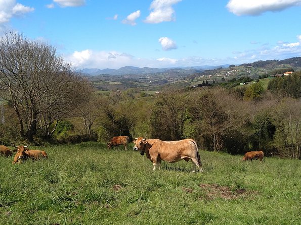 Taste of the Camino De Santiago - The Pilgrim Credential - A Memento of the Journey