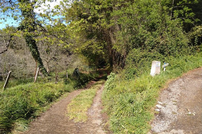 Taste of the Camino De Santiago - Traveler Experiences and Recommendations