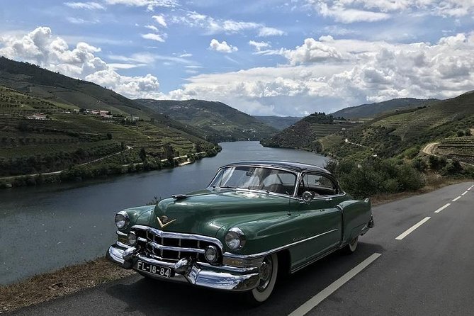 Taste the Douro - Vintage Experience - What Makes This Tour Stand Out?