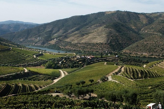 Taste the Douro - Vintage Experience - Who Will Love This Experience?