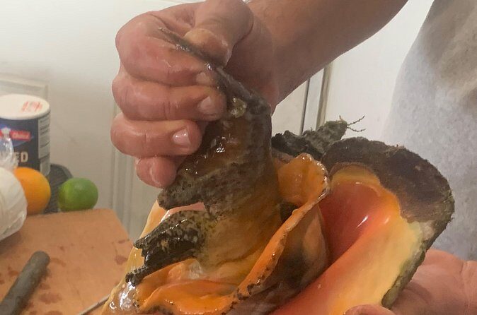 Taste Tour and Capture Nassau Island Experience with Photos - Western Esplanade Beach: Relaxing at Nassau’s Waterfront