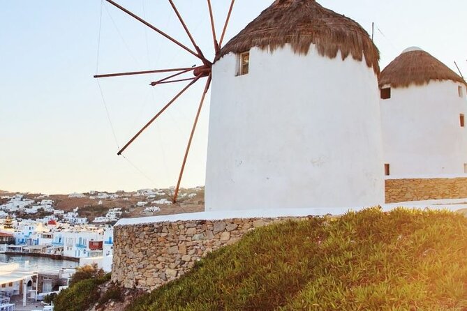 Tastes and Traditions of Mykonos with Lunch - Authenticity and the Review Rumor Mill