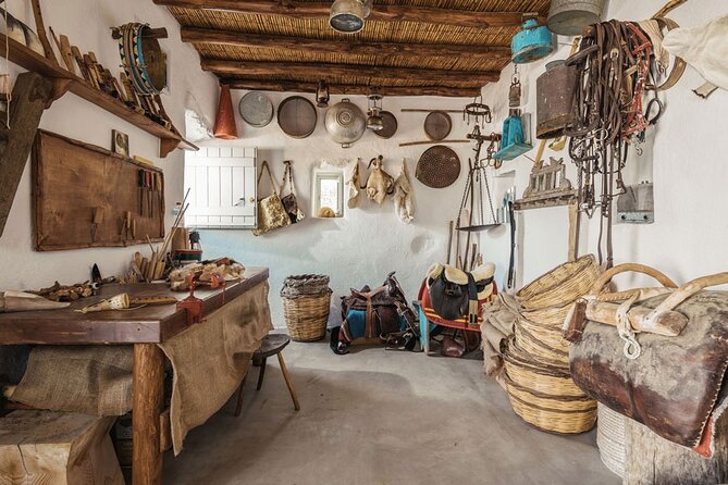 Tastes and Traditions of Mykonos with Lunch - Who Should Book This Tour?