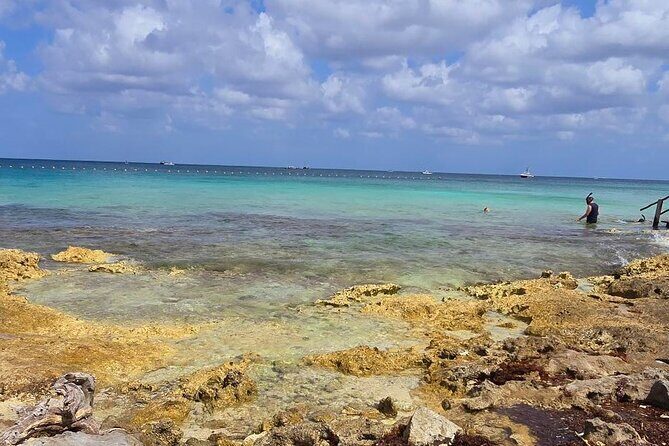 Tastes of Mexico Traditional Food Culture and Beach in Cozumel - Key Points