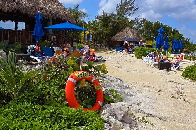 Tastes of Mexico Traditional Food Culture and Beach in Cozumel - Who Should Consider This Tour?