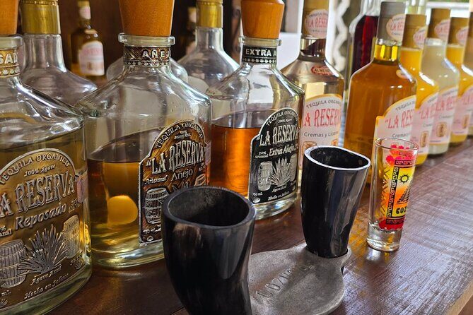 Tastes of Mexico Traditional Food Culture and Beach in Cozumel - Final Thoughts: The Value of a Flavorful, Cultural Day in Cozumel