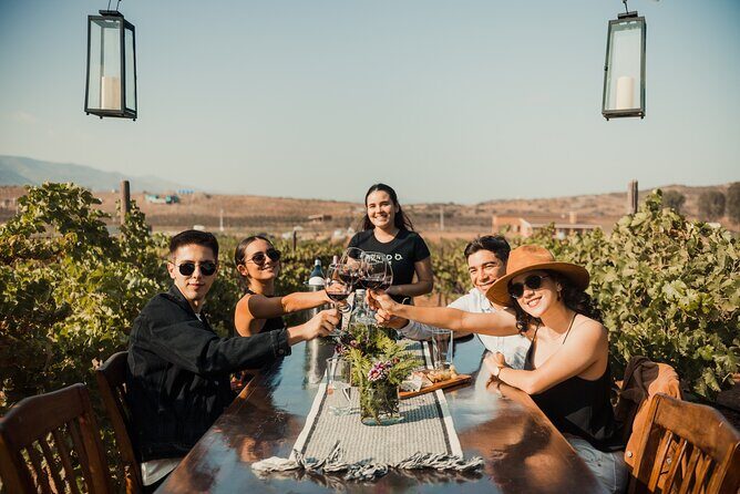 Tasting and tour through the vineyard - A Closer Look at the Vineyard Tour Experience
