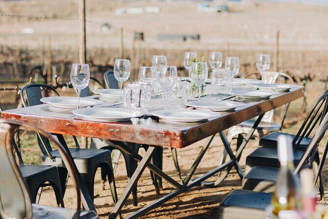 Tasting and tour through the vineyard - FAQ