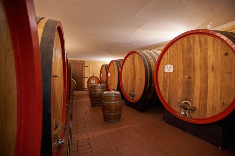 Tasting and Tour Vino Nobile di Montepulciano - A Closer Look at the Experience