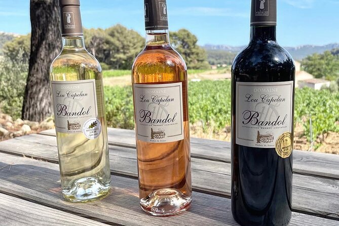 Tasting Bandol Wines & Visit of Cellar (in English) - Highlights From Customer Reviews