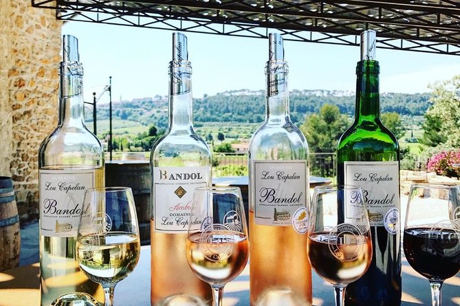 Tasting Bandol Wines & Visit of Cellar (in English) - Booking Details and Logistics