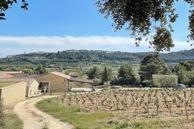 Tasting Bandol Wines & Visit of Cellar (in English) - Getting to the Winery