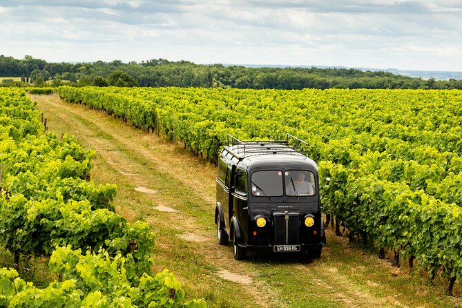 Tasting Bourgoin Cognac the real winegrower's cognac - The Value of the Experience