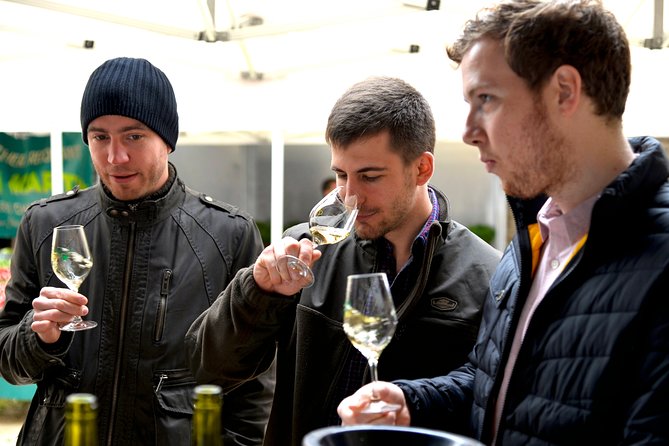 Tasting Chablis Domaine Clotilde Davenne in French - Who Will Love This Tour?