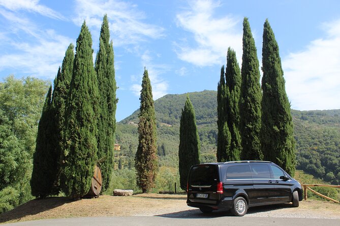 Tasting in a Tuscan Vineyard: Review - About Your Stay