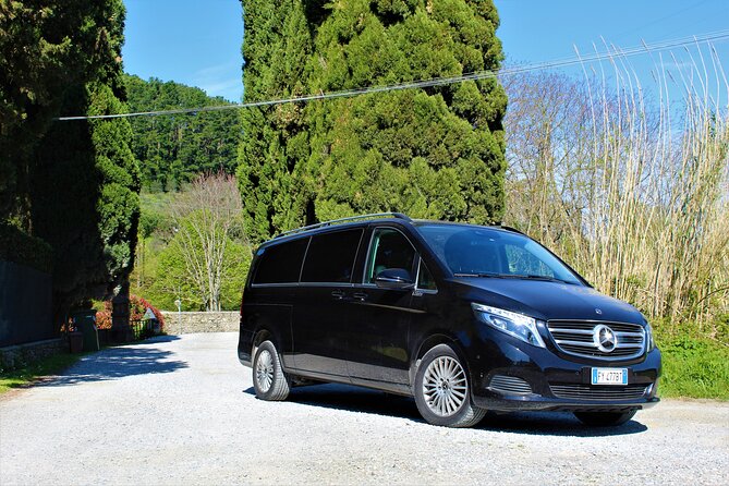 Tasting in a Tuscan Vineyard: Review - Practical Information and Booking Details