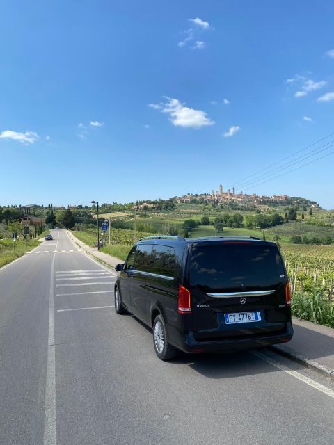 Tasting in a Tuscan Vineyard with transfer from Lucca - A Closer Look at the Tour