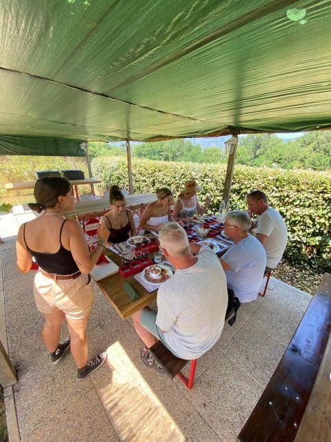 Tasting in a Tuscan Vineyard with transfer from Lucca - Wrapping It Up
