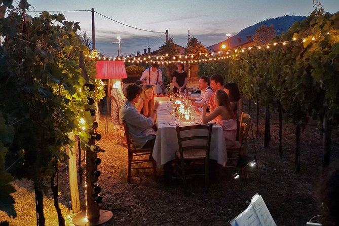 Tasting in a Tuscan Vineyard with transfer from Lucca - The Itinerary — What to Expect