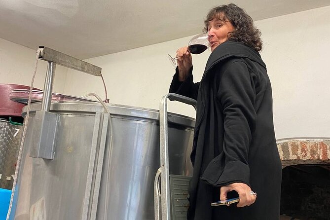 Tasting in a Tuscan Vineyard with transfer from Lucca - Transportation and Group Size