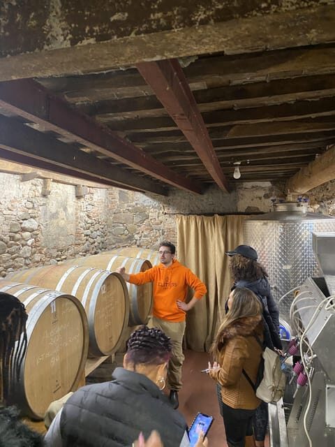 Tasting in a Tuscan Vineyard with transfer from Pisa - Practical Details