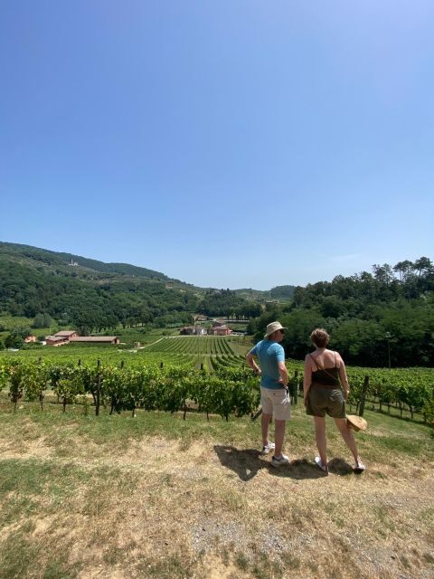 Tasting in a Tuscan Vineyard with transfer from Pisa - FAQ