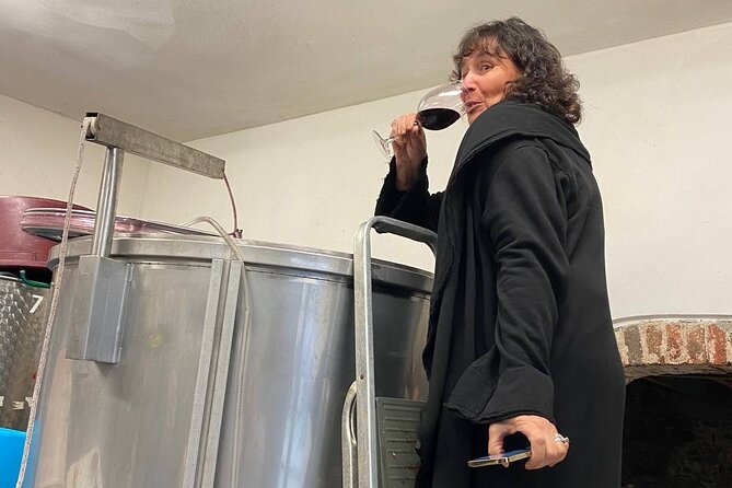 Tasting in a Tuscan Vineyard with transfer from Pisa - The Sum Up