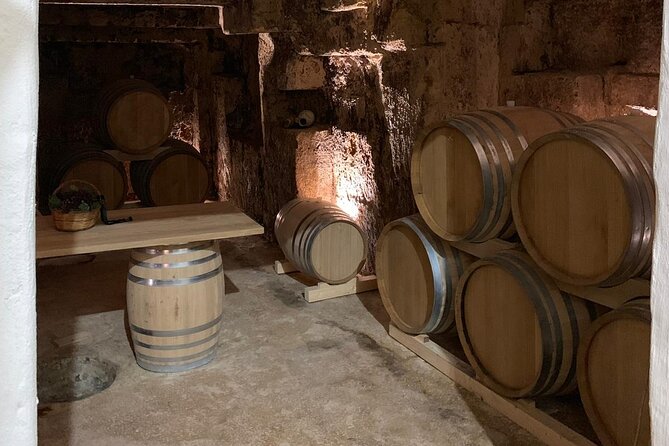 Tasting in the Historic Cellar of Marsala - Pricing and Cancellation Policy