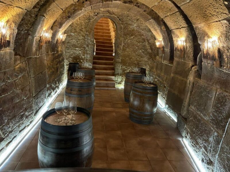 TASTING IN UNDERGROUND WINERY (DRAFT) - Who Will Love This Experience?