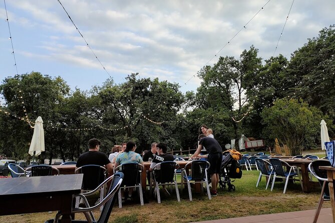 Tasting of 4 Valtenesi wines with local food in Salò - Key Points