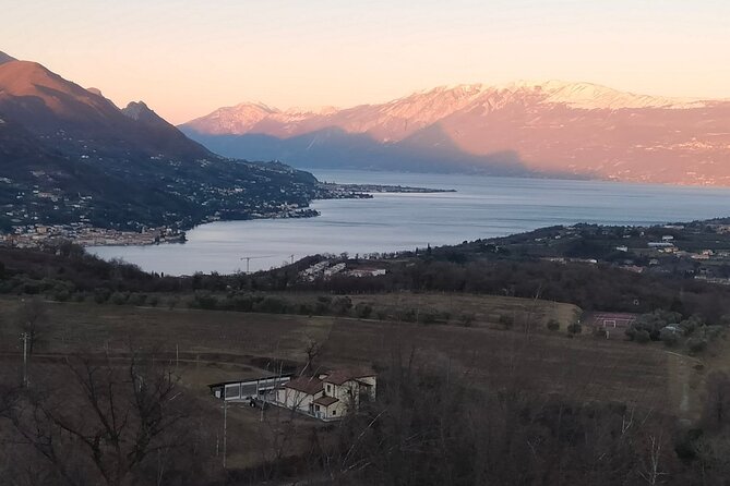 Tasting of 4 Valtenesi wines with local food in Salò - What You Can Expect During the Tour