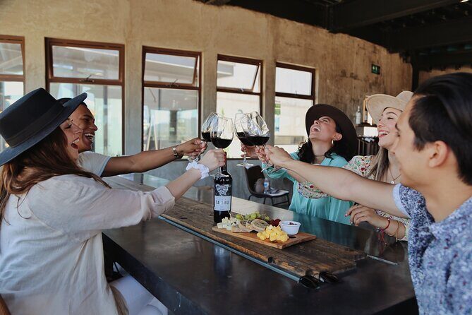 Tasting of 5 wines and tour at the winery Rondo del Valle - Who Will Enjoy This Tour?