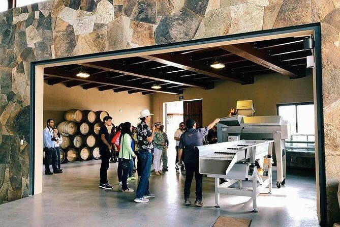 Tasting of 5 wines and tour at the winery Rondo del Valle - FAQs