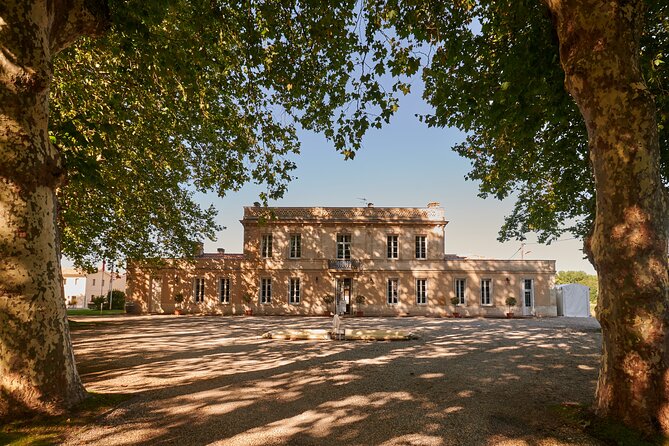 Tasting of 6 Wines at Château Haut Breton Larigaudière - Arriving at the Castle Shop