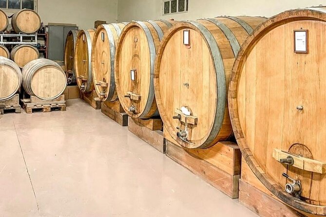 Tasting of 7 Wines in the Langhe and Visit to the Cellar - Wine Selection