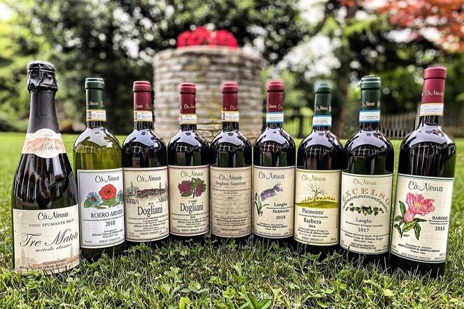 Tasting of 7 Wines in the Langhe and Visit to the Cellar - Tasting Notes