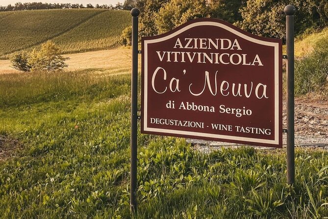 Tasting of 7 Wines in the Langhe and Visit to the Cellar - Traveler Reviews