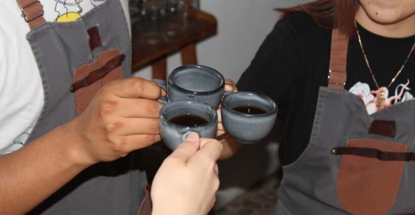 Tasting of Oaxacan Coffees - Final Thoughts