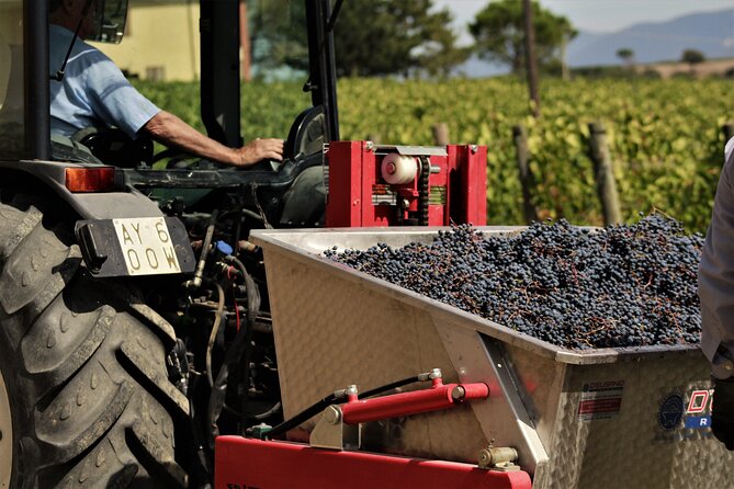 Tasting Selection of 4 wines in Montefalco - The Sum Up: Why This Experience Matters