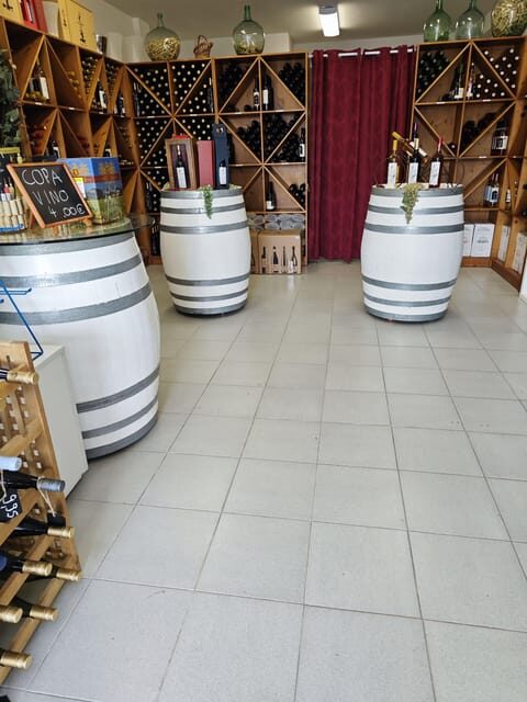 Tasting wines from Mallorca - Vinothek Cala Mandia - A Closer Look at the Experience
