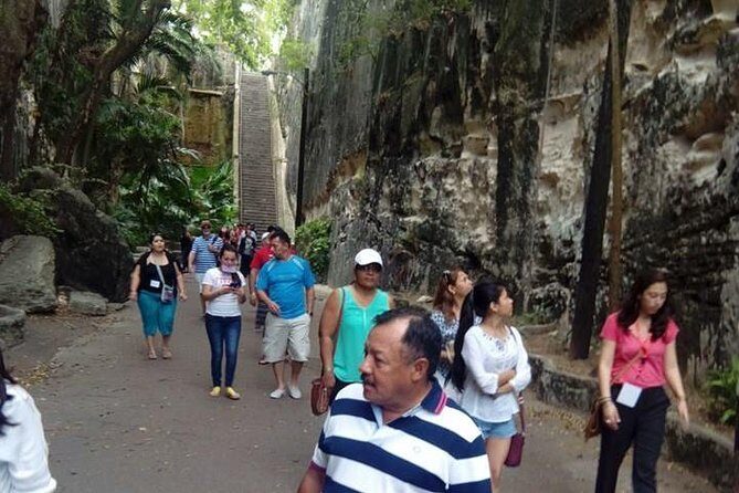 Tasty Rythm and Rock Tour - FAQ