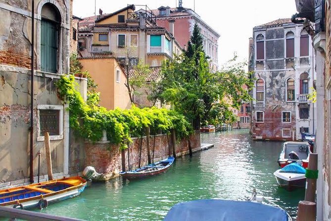 Tasty Street Food Tour of Venice City Center With Cicchetti & Local Specialties - Customer Feedback