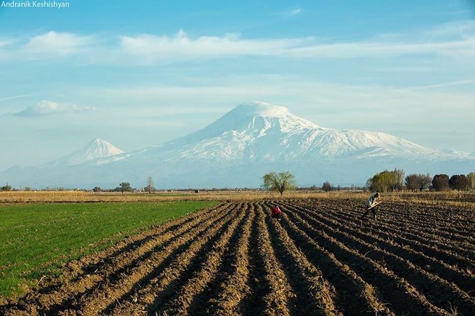 Tatev Ropeway and Monastery, Khor Virap, Noravank, Areni Winery - Private Tour - Customer Testimonials and Feedback
