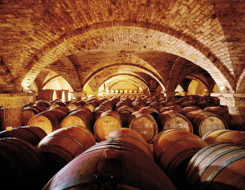 Tattendorf: Riedel Glass & Wine Tasting with guided tour - What You Can Expect from the Tour