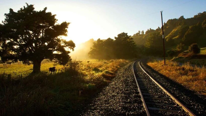 Taumarunui: Forgotten World Rail Cart Tour with Lunch - Taumarunui: Forgotten World Rail Cart Tour with Lunch — An Authentic Kiwi Adventure