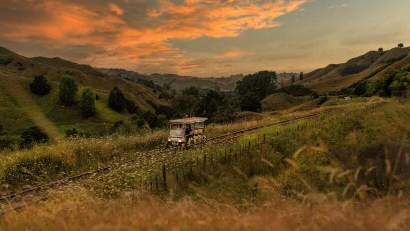 Taumarunui: Forgotten World Rail Cart Tour with Lunch - Key Points