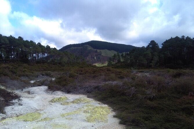 Taupo Day Trip with Orakei Korako or Waiotapu from Rotorua - Who Should Consider This Tour?